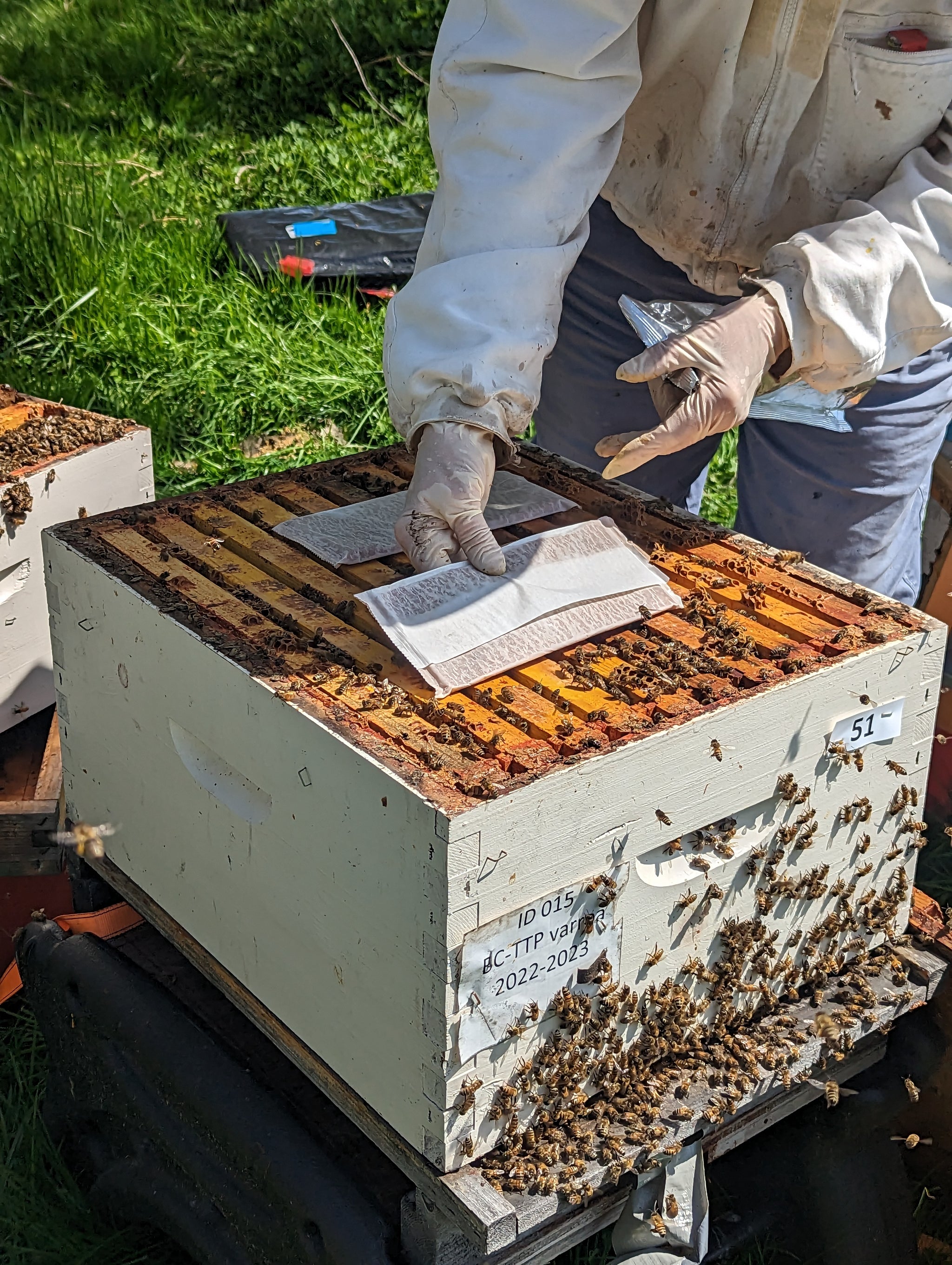 Formic Pro – Urban Bee Supplies