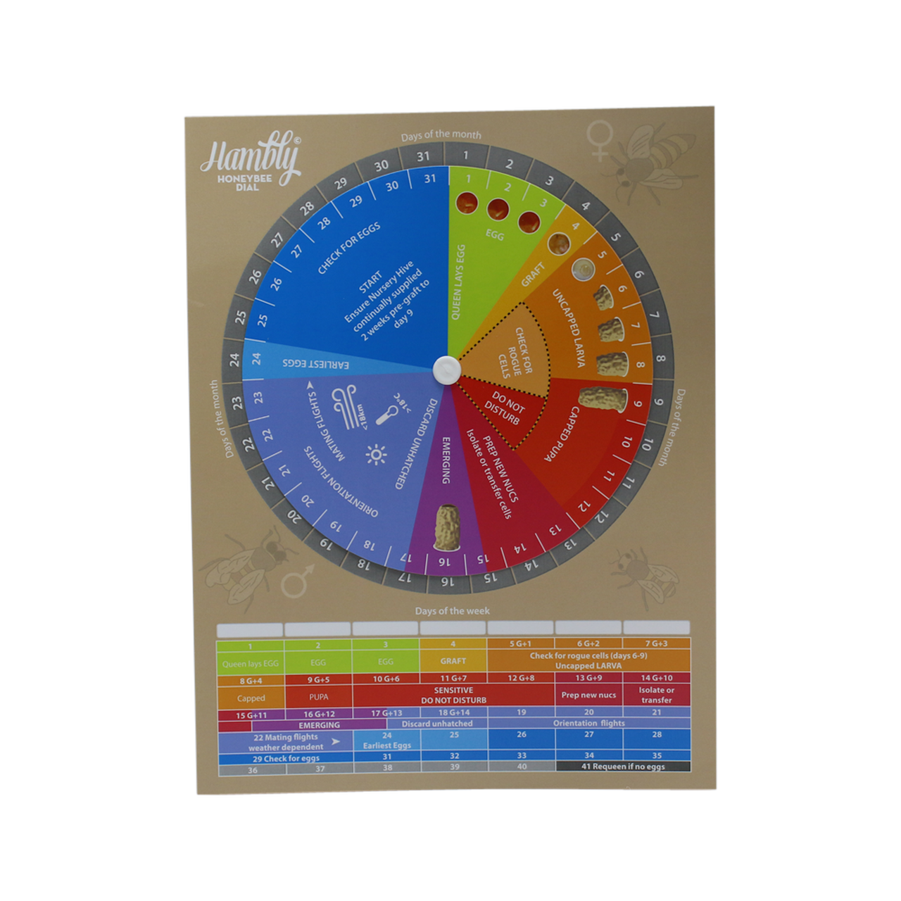 Hambly Queen Rearing Timing Dial – Urban Bee Supplies