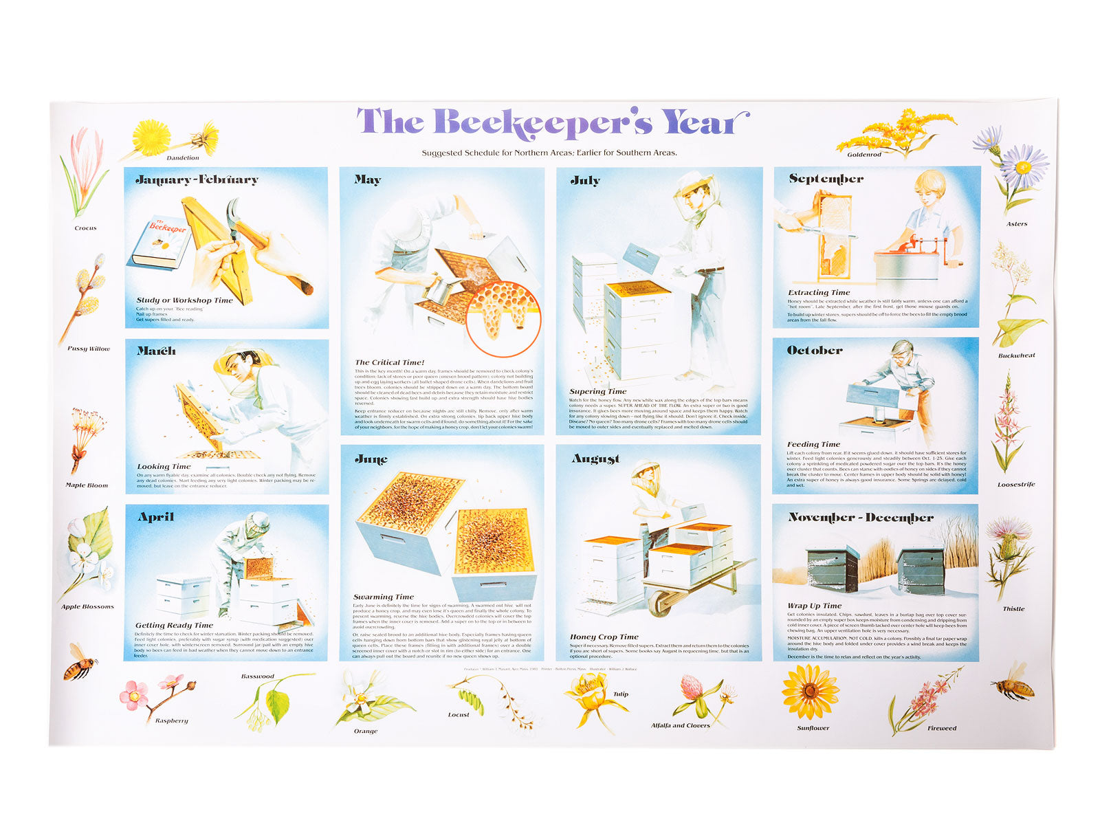 Beekeepers Year Chart Poster – Urban Bee Supplies