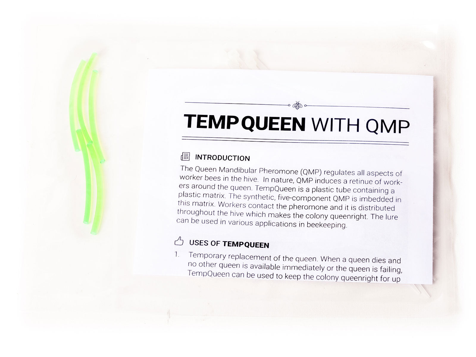 Temp Queen with QMP – Urban Bee Supplies