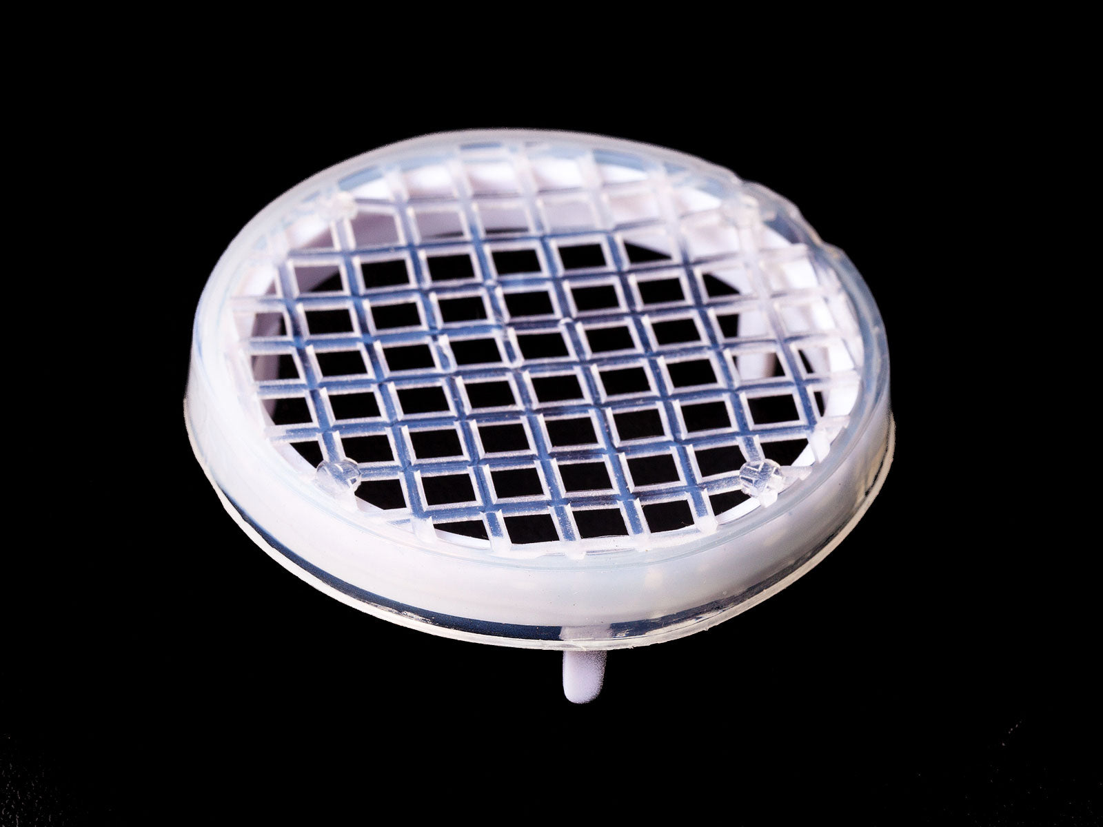 Queen Frame Marking Cage – Urban Bee Supplies